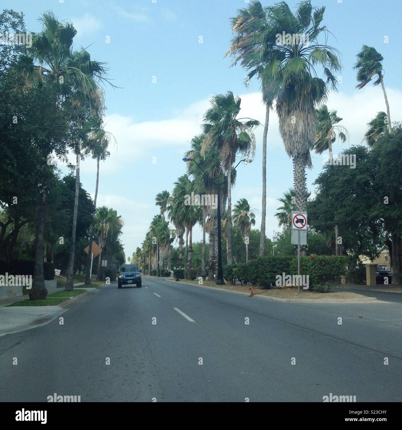 Tropical city hi-res stock photography and images - Alamy