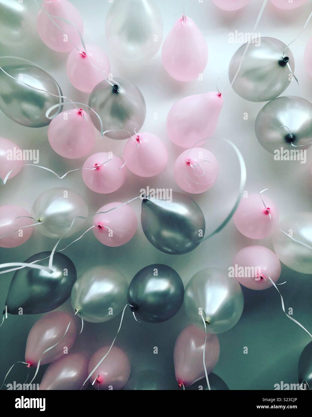 Birthday balloons hi-res stock photography and images - Alamy