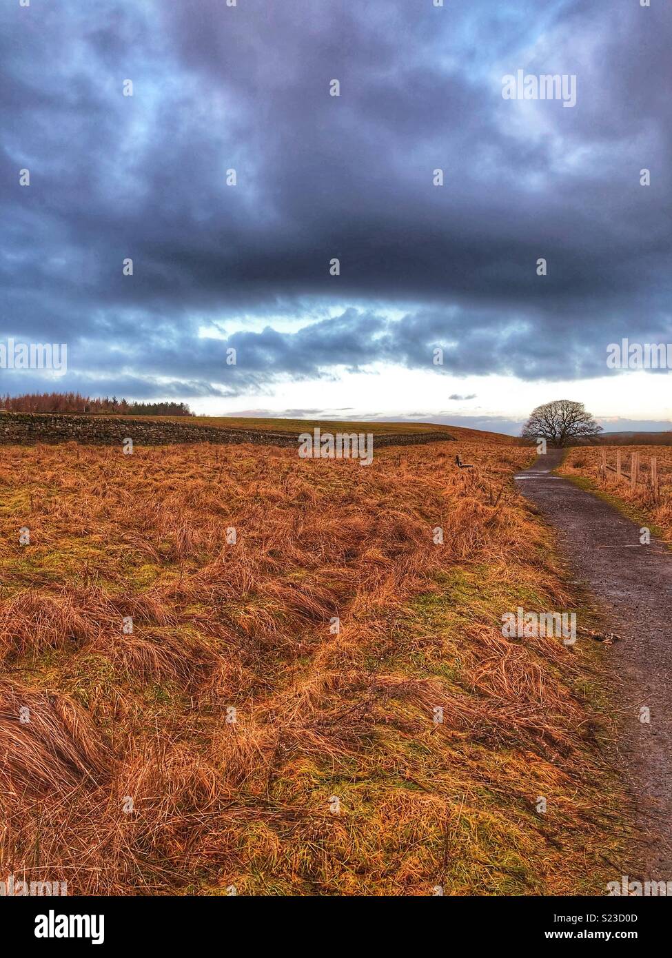 Autumn field fence hi-res stock photography and images - Alamy