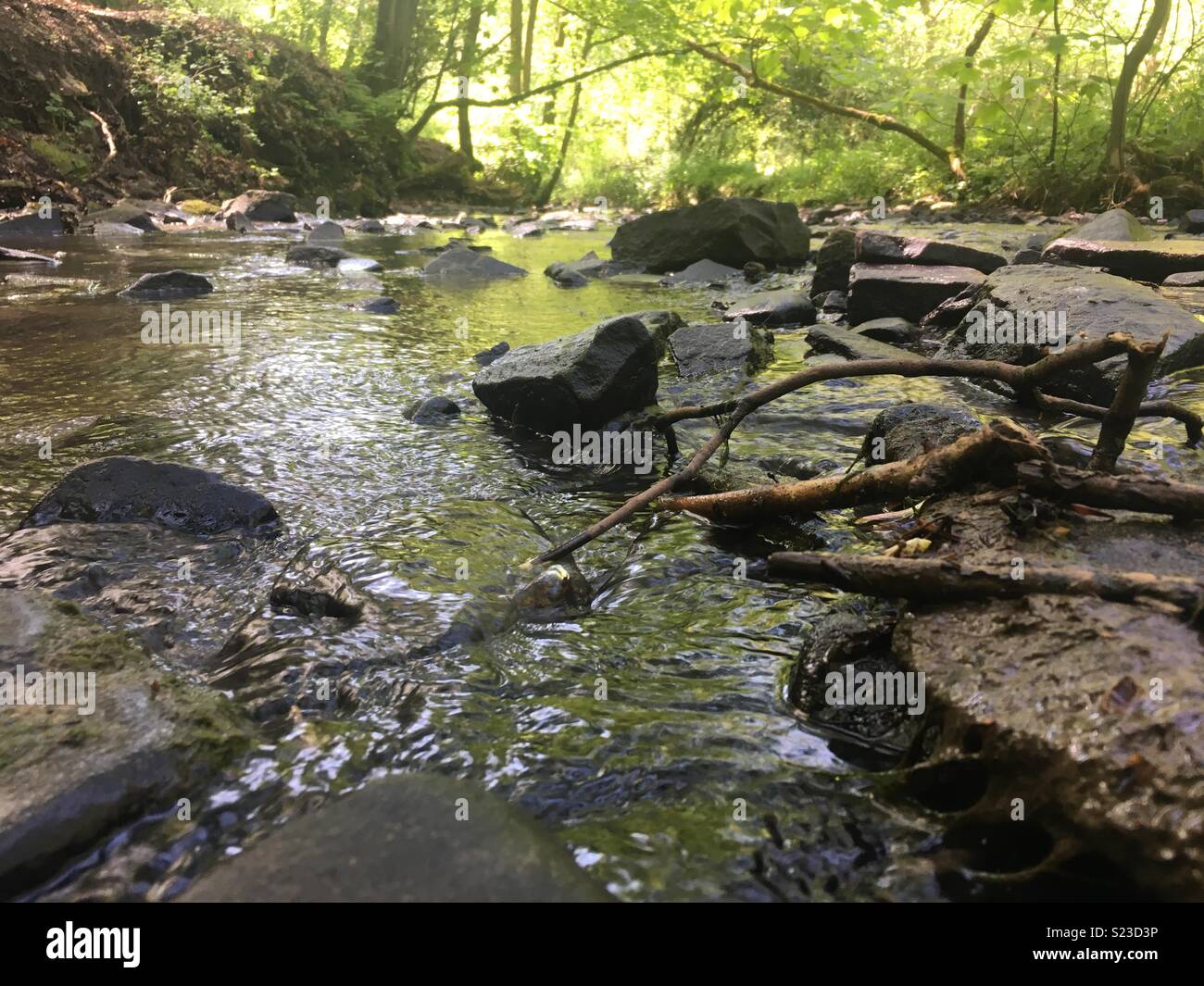 Clutton Hallatrow UK Stock Photo - Alamy