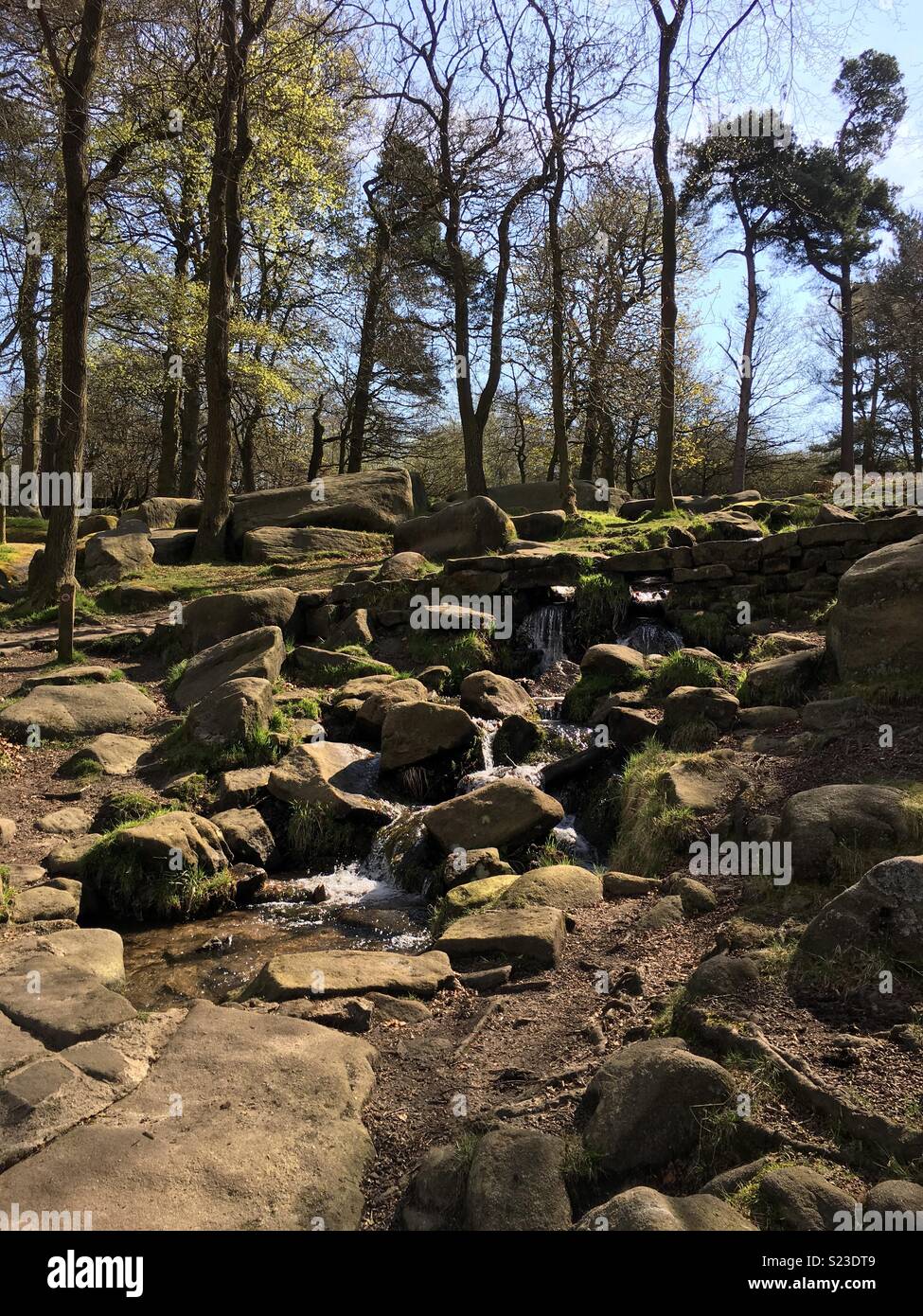 Longshaw Stock Photos & Longshaw Stock Images - Alamy