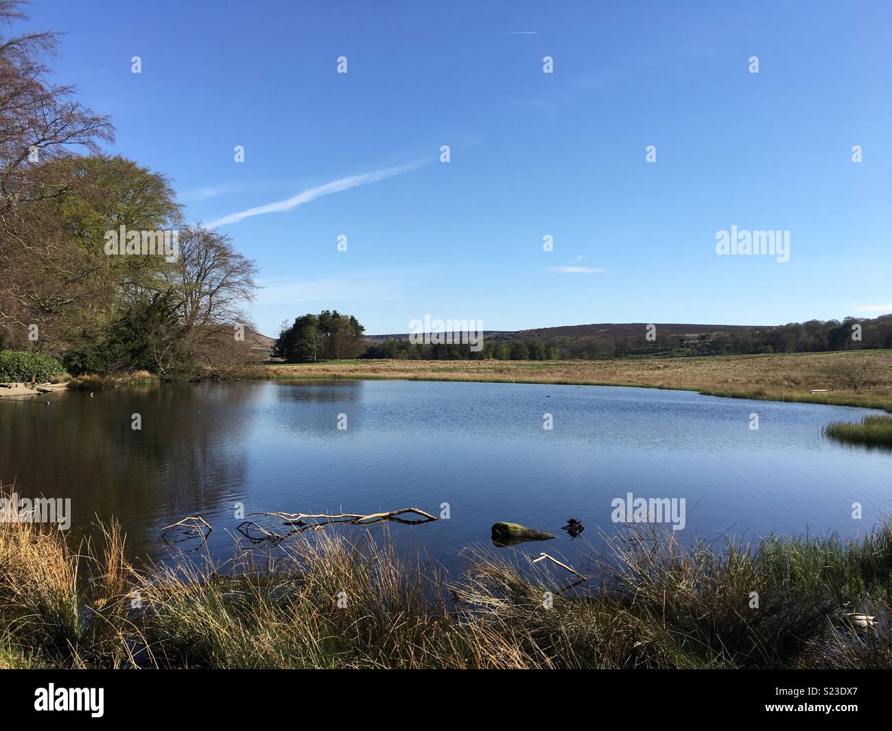 Longshaw pond hi-res stock photography and images - Alamy