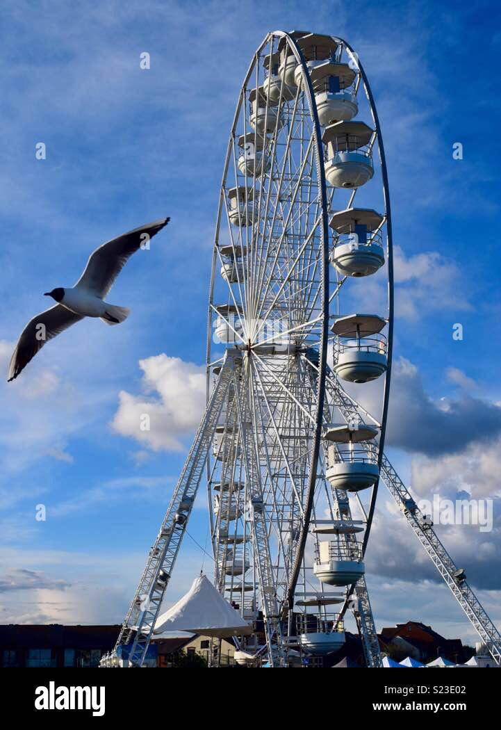 Wheel free hi-res stock photography and images - Alamy
