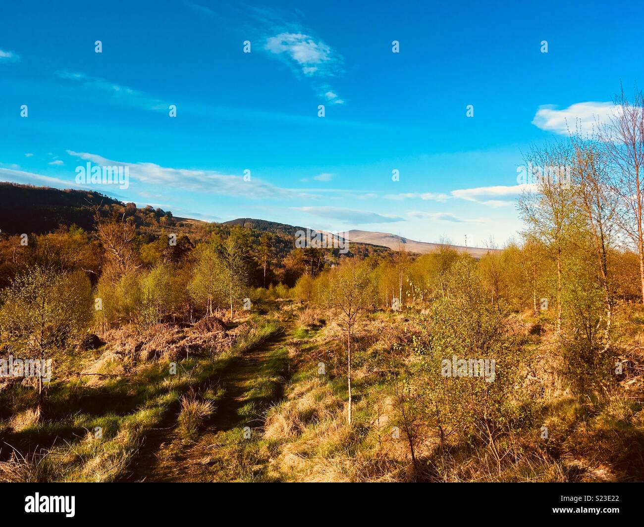 Scottish wilderness mountain scene Stock Photo - Alamy