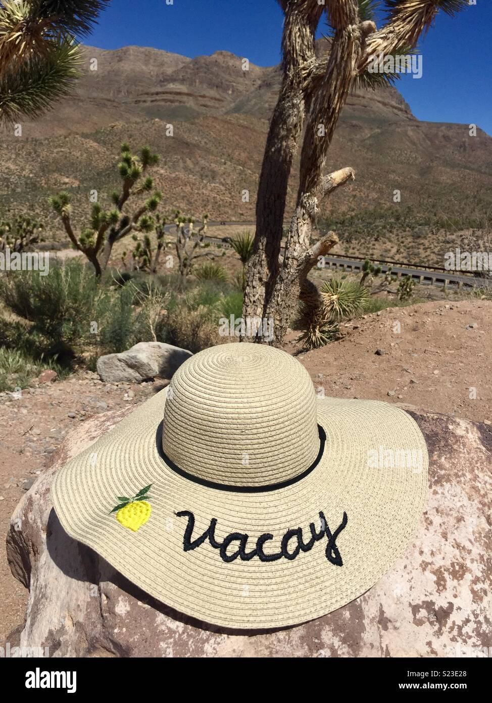 Vacay hi-res stock photography and images - Alamy