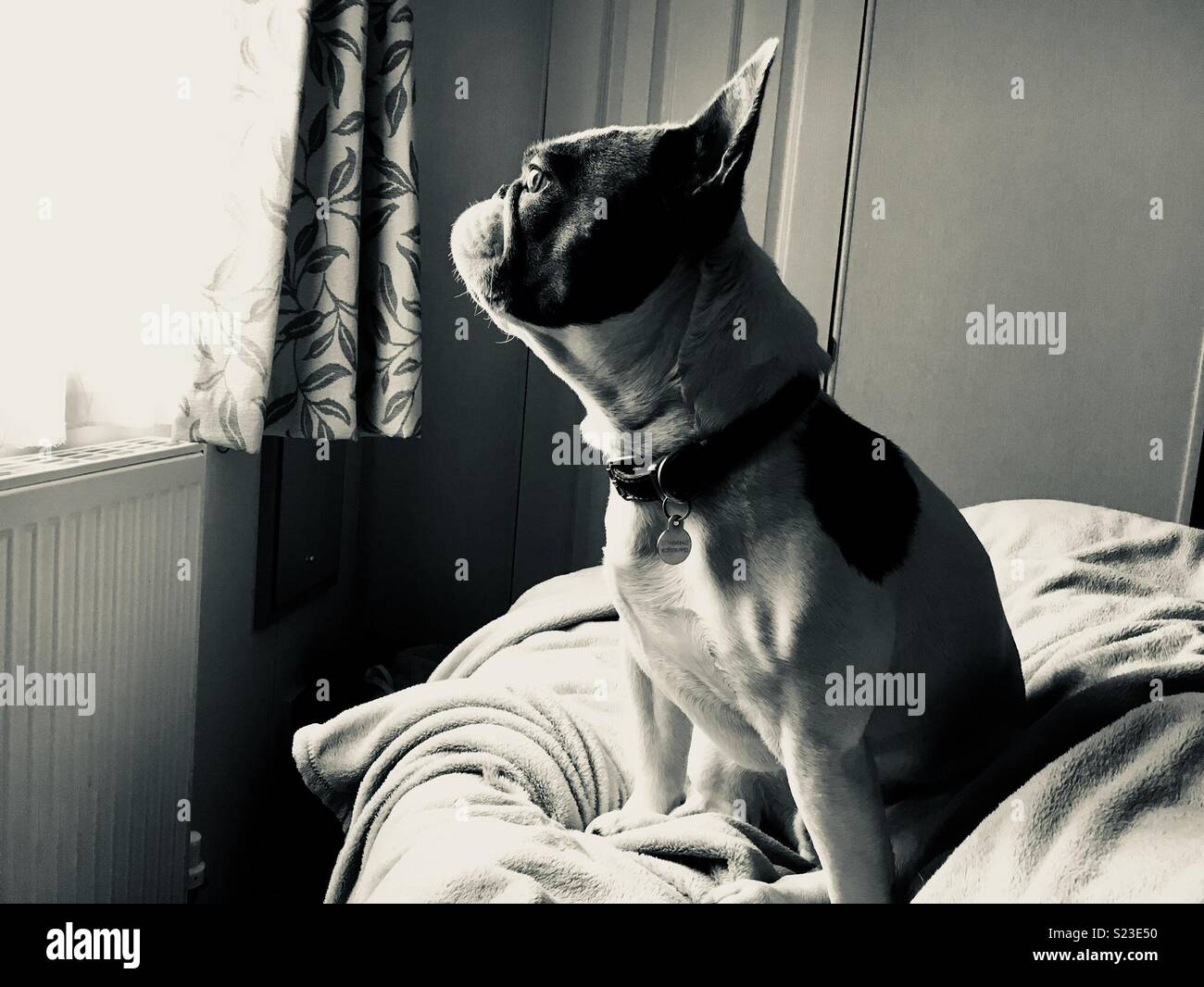 Best friend hi-res stock photography and images - Alamy