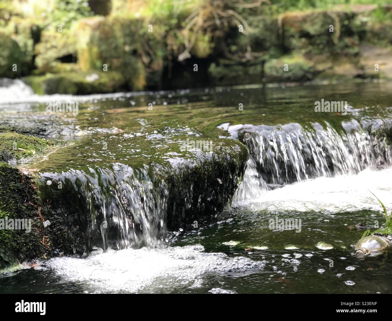 Jesmond Dene Stock Photos & Jesmond Dene Stock Images - Alamy