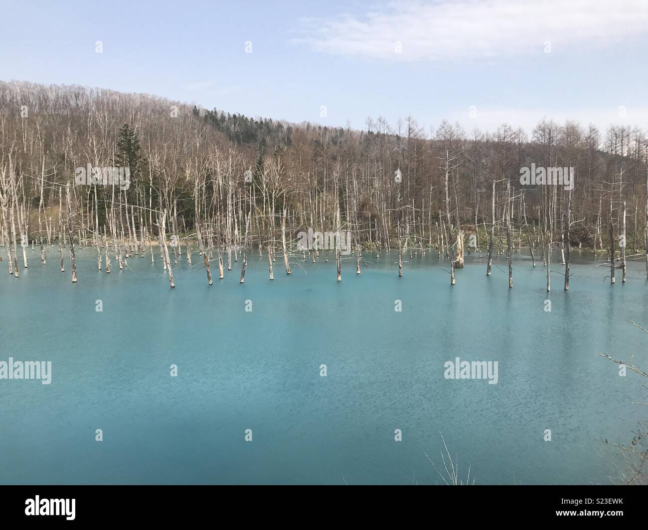 Japan bieie blue pond Stock Photo - Alamy