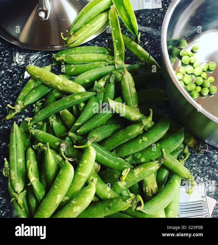 Summer peas hi-res stock photography and images - Alamy