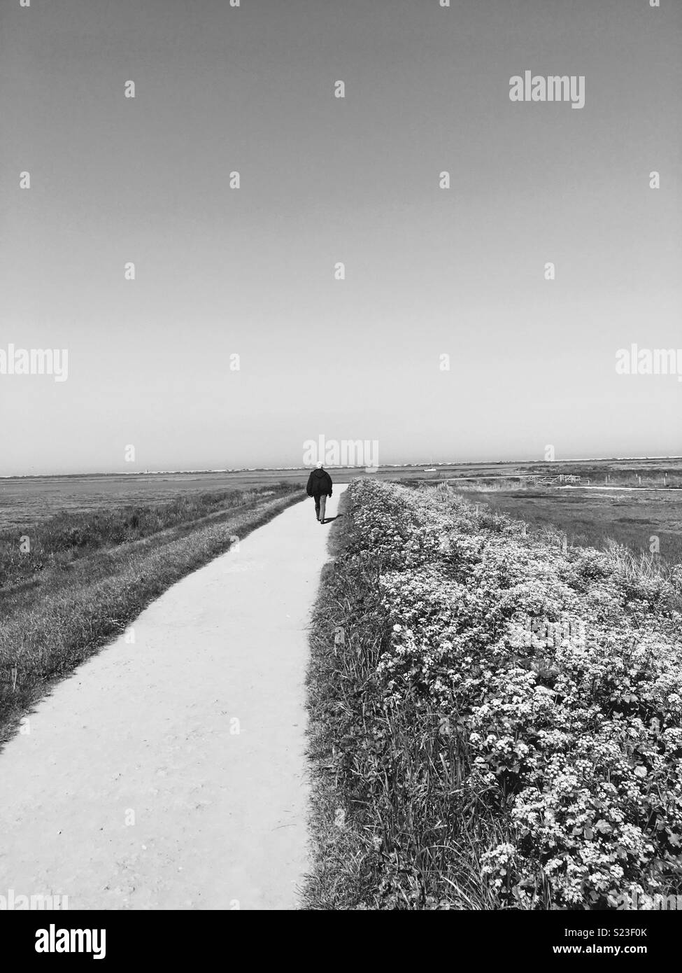 Perspective to horizon hi-res stock photography and images - Alamy