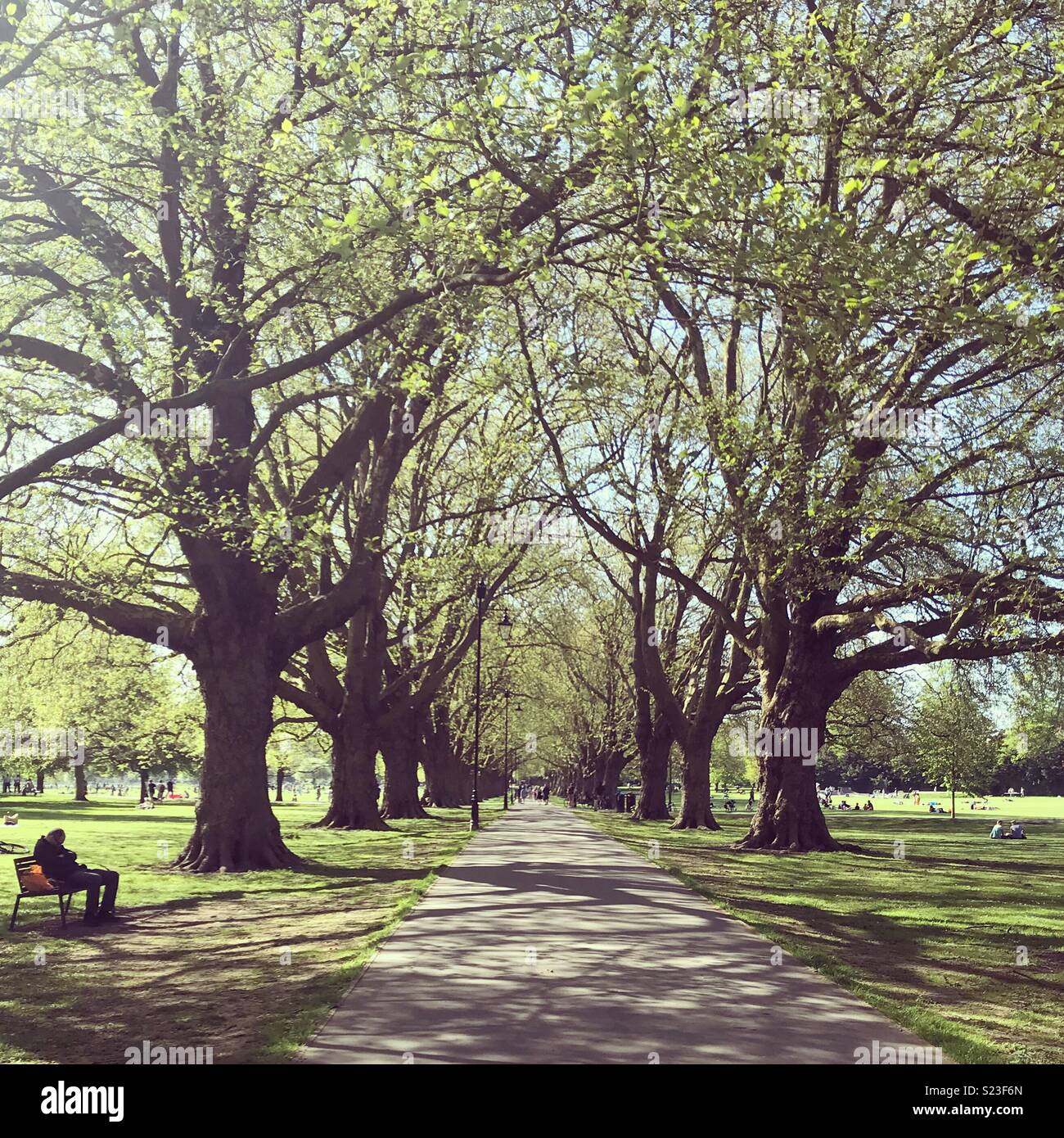 Jesus green park hi-res stock photography and images - Alamy