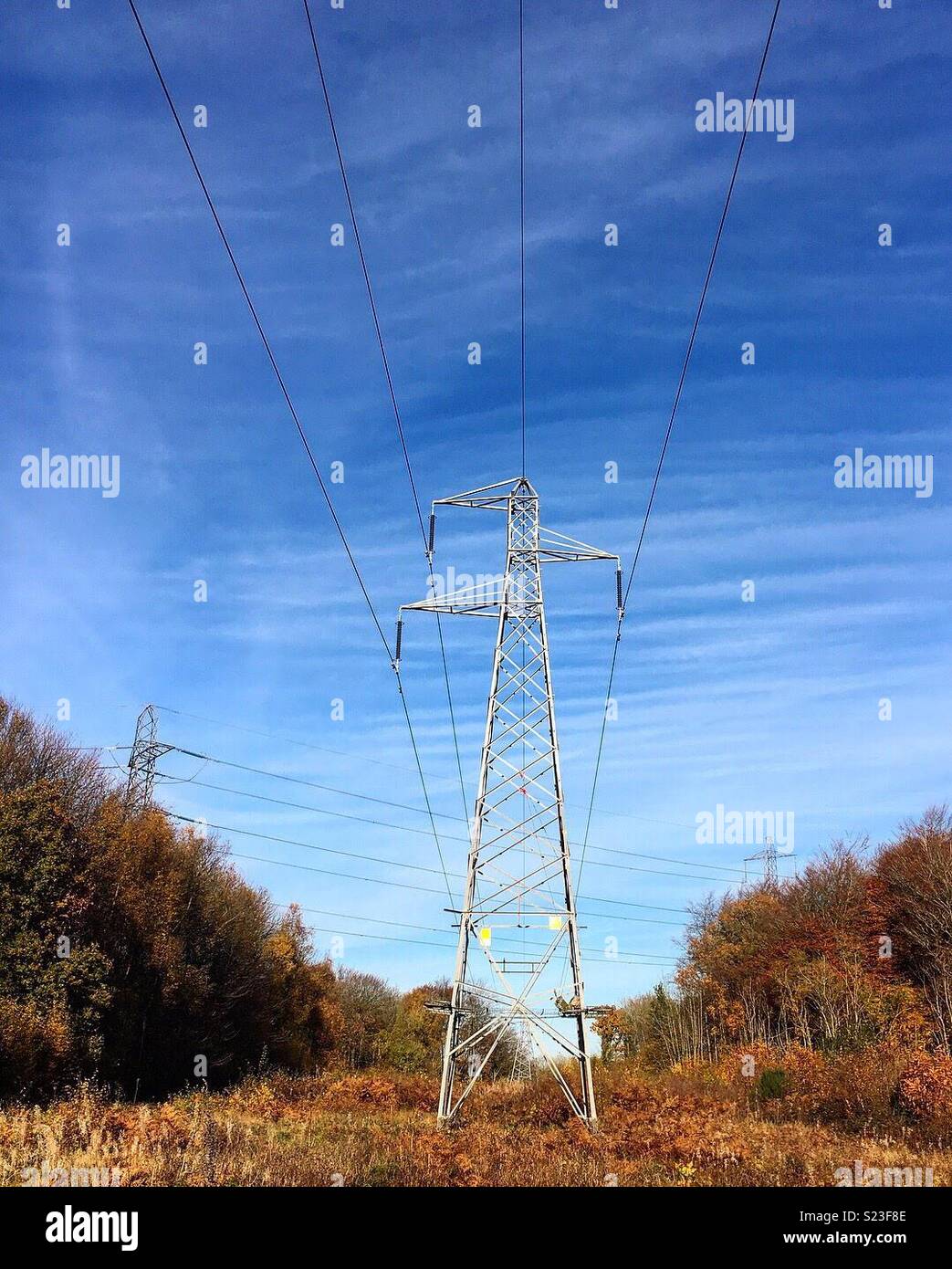 English pylon in the woods, Kent Stock Photo - Alamy