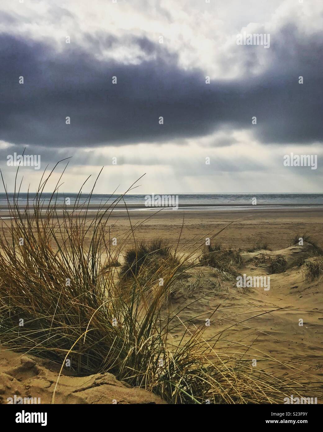 Moody windy day at Camber Sands beach Stock Photo - Alamy