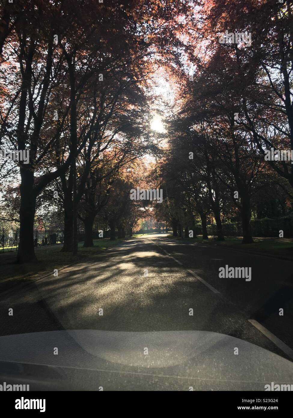 On the way Stock Photo - Alamy