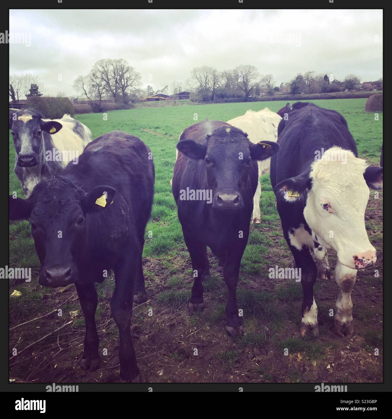 Blocking his path hi-res stock photography and images - Alamy