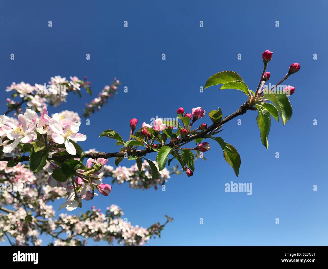 Nottinghamshire Countryside High Resolution Stock Photography and ...
