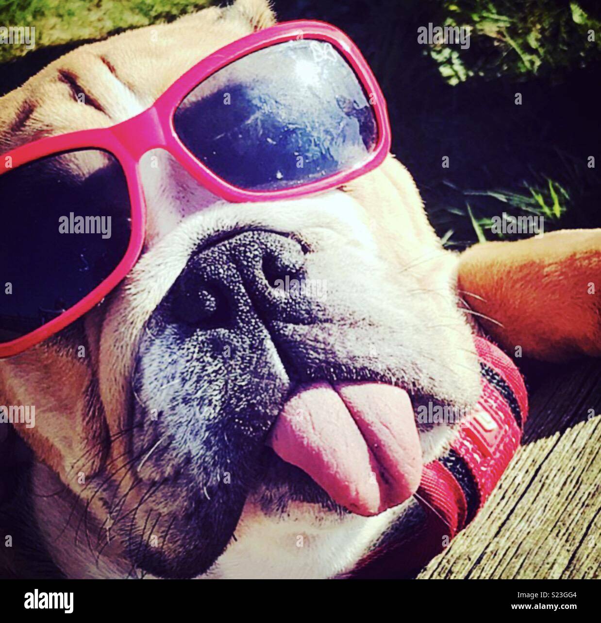 Sunshine and shades hi-res stock photography and images - Alamy