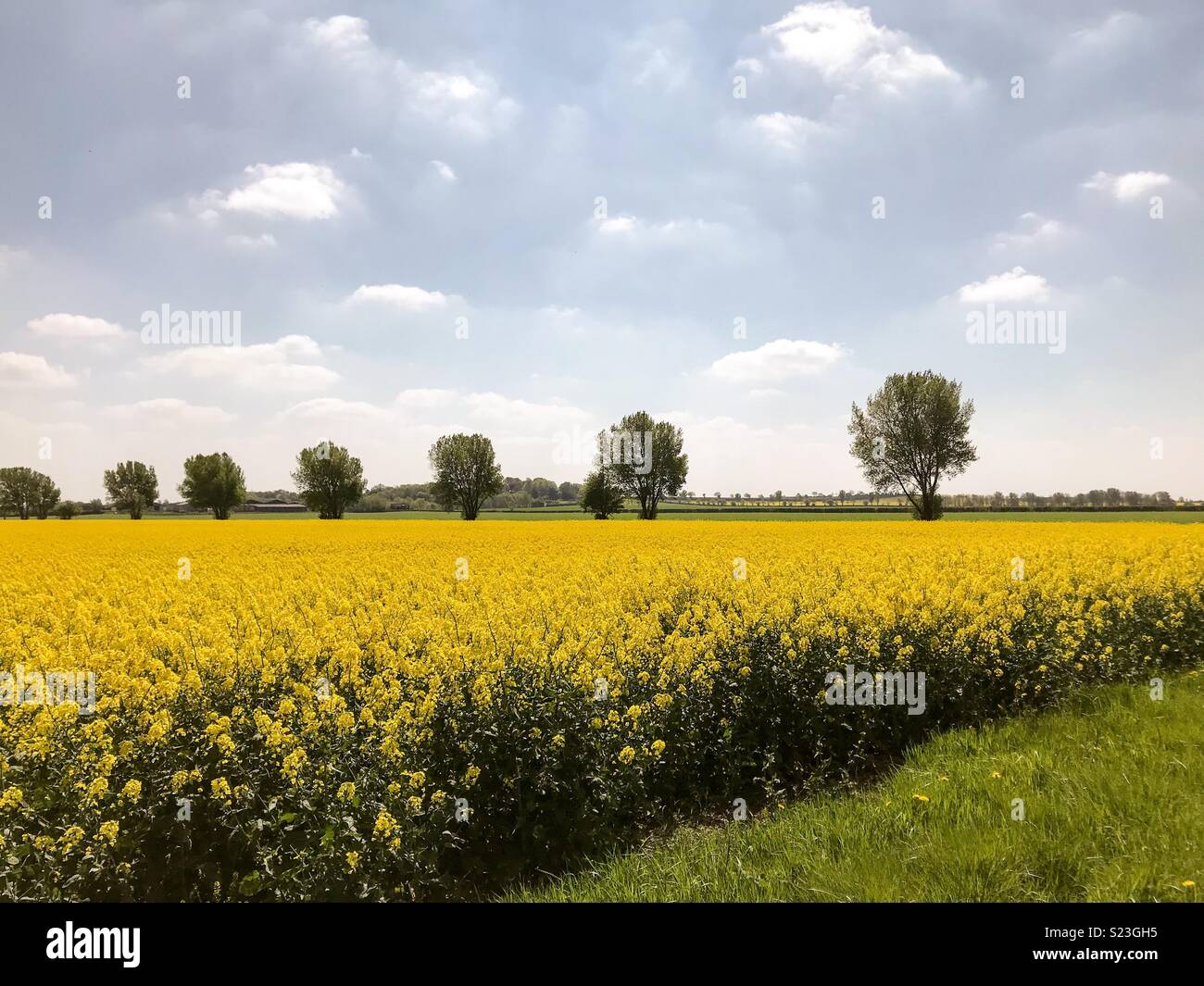 Nottinghamshire countryside hi-res stock photography and images - Alamy