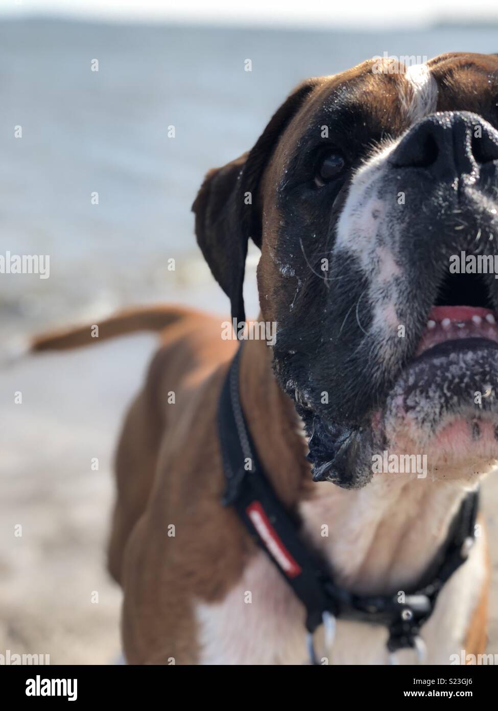 Frank beach hi-res stock photography and images - Alamy