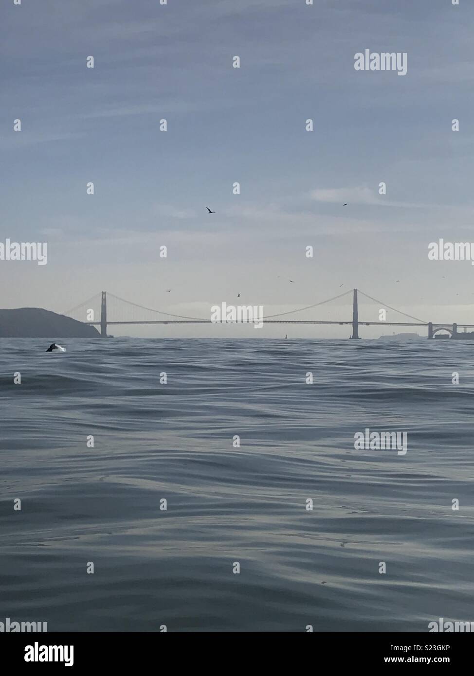 Whale bridge hi-res stock photography and images - Alamy