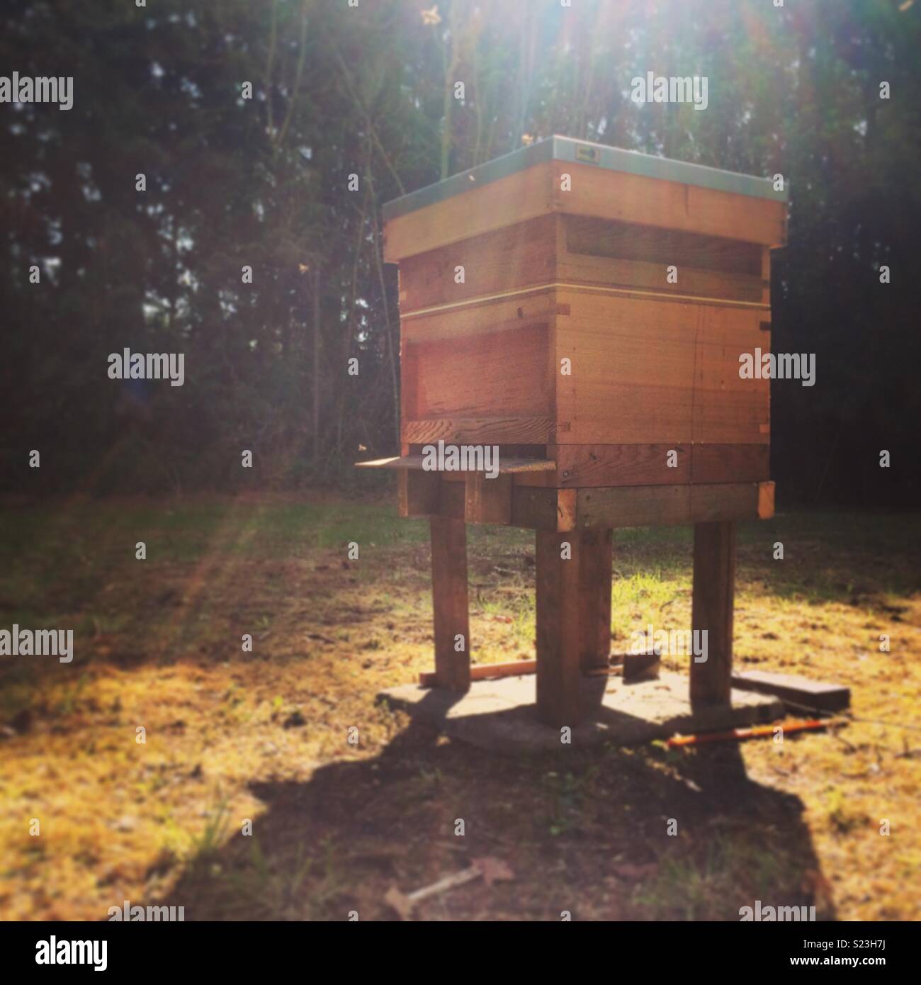 Beekeeper sun hi-res stock photography and images - Alamy
