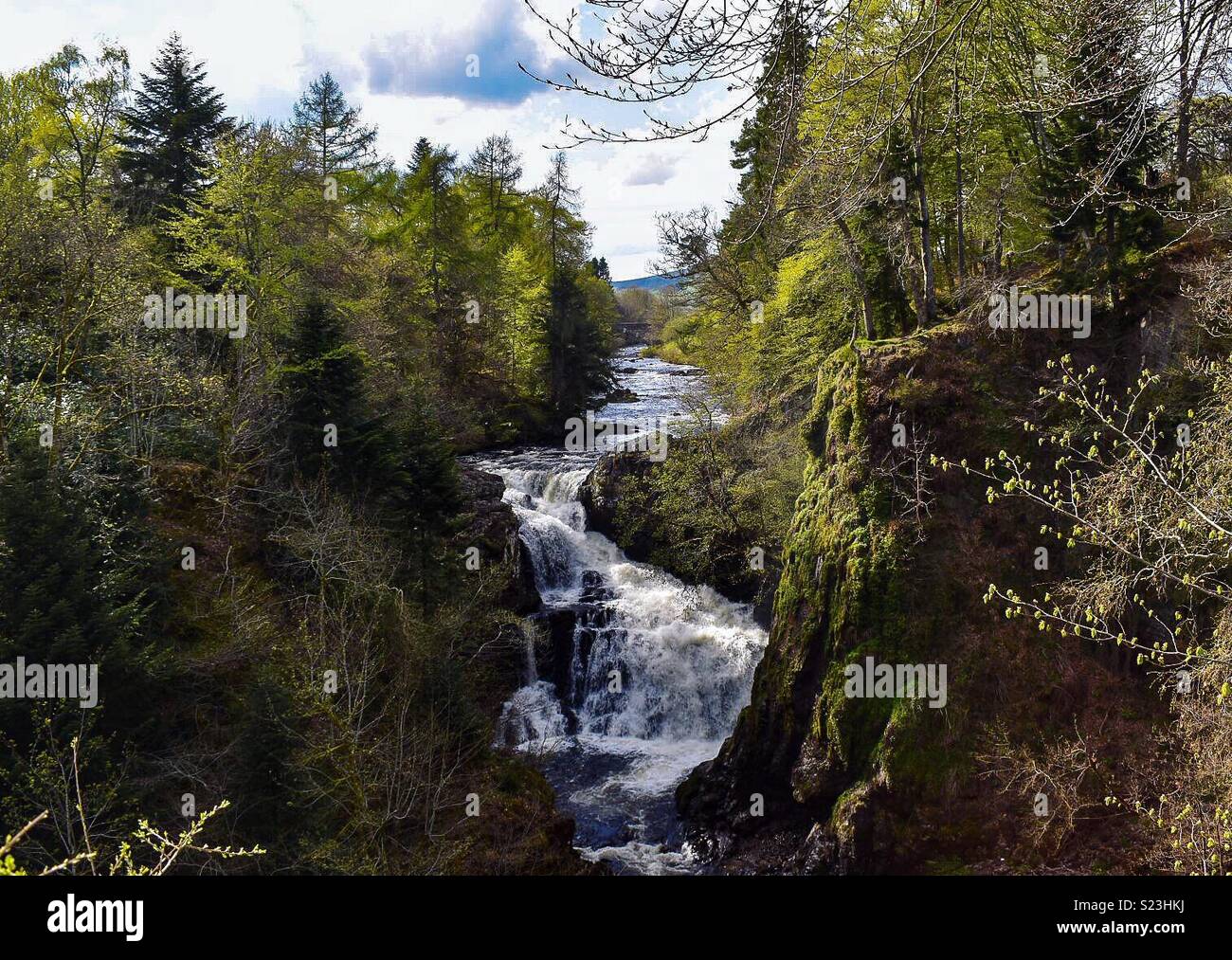 Reekie hi-res stock photography and images - Alamy