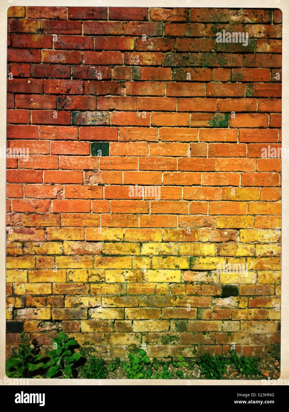 Colorful brick wall Stock Photo - Alamy