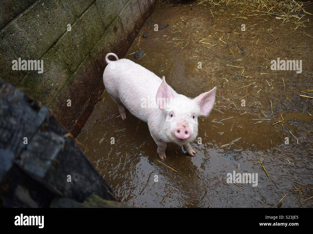 Kent life hi-res stock photography and images - Alamy