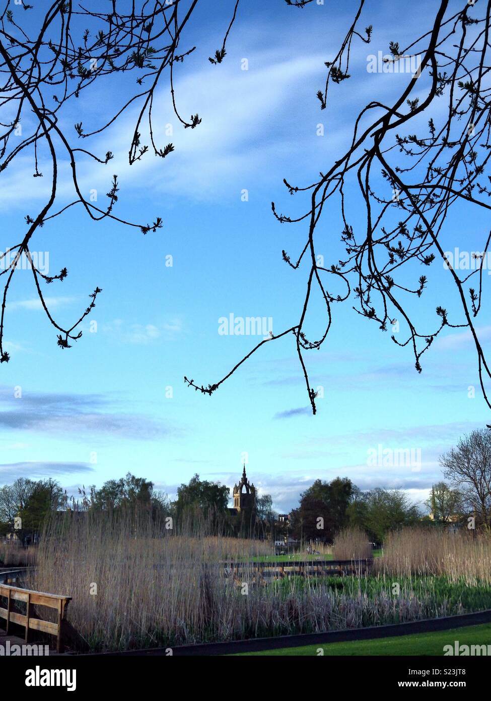 South inch park Perth Stock Photo - Alamy