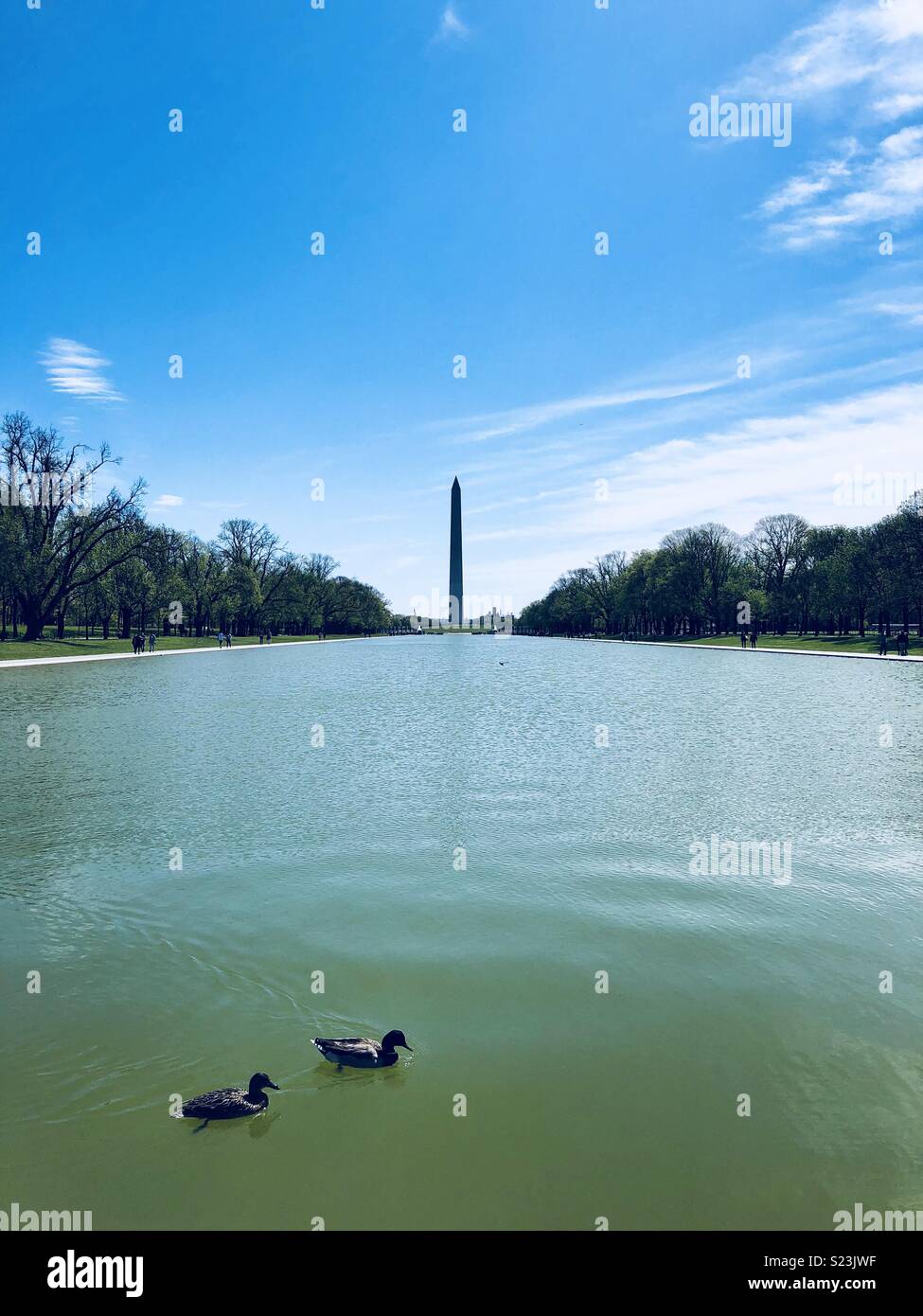 Reflecting pool washington dc hi-res stock photography and images - Alamy
