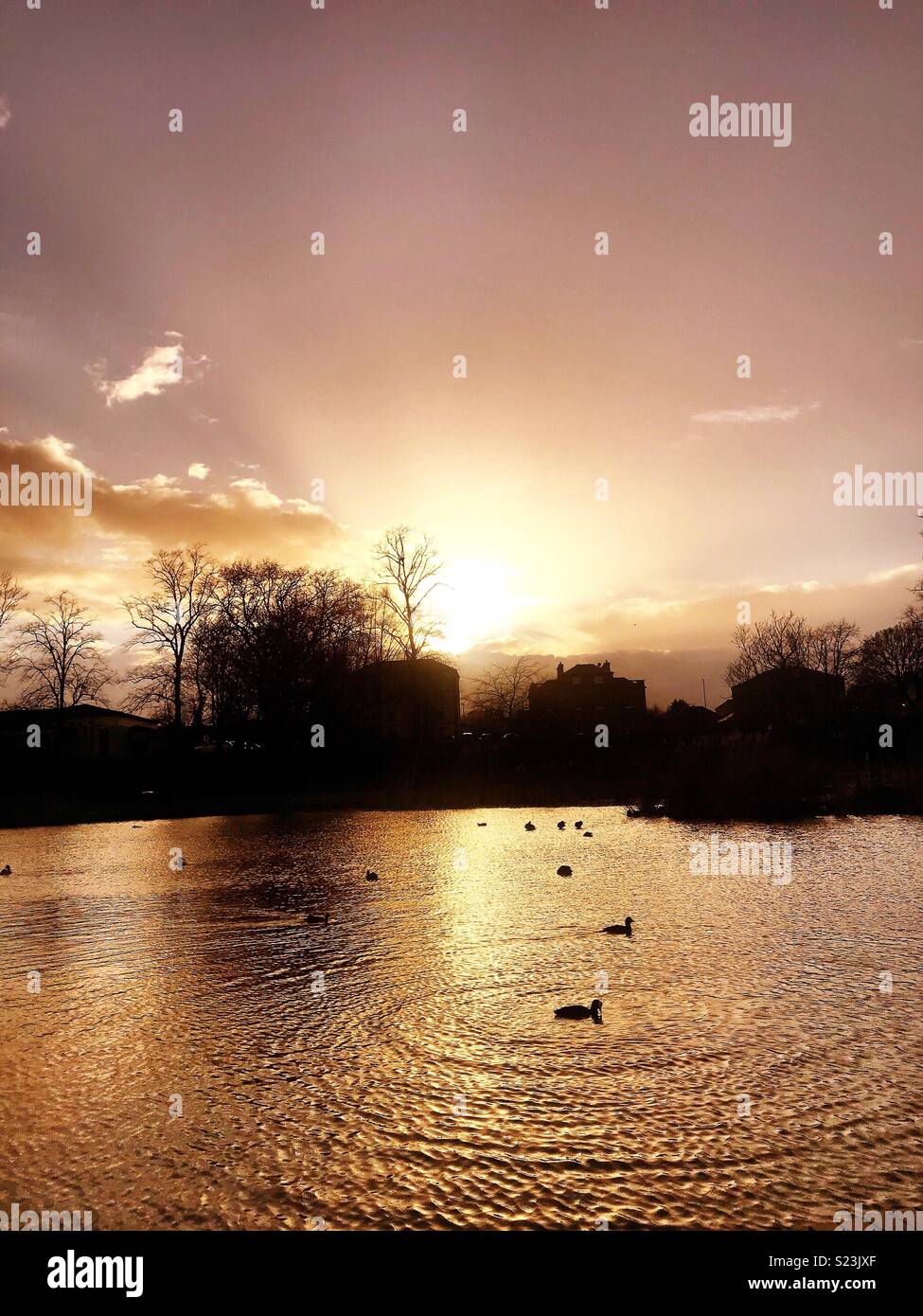 South Inch Park High Resolution Stock Photography and Images - Alamy