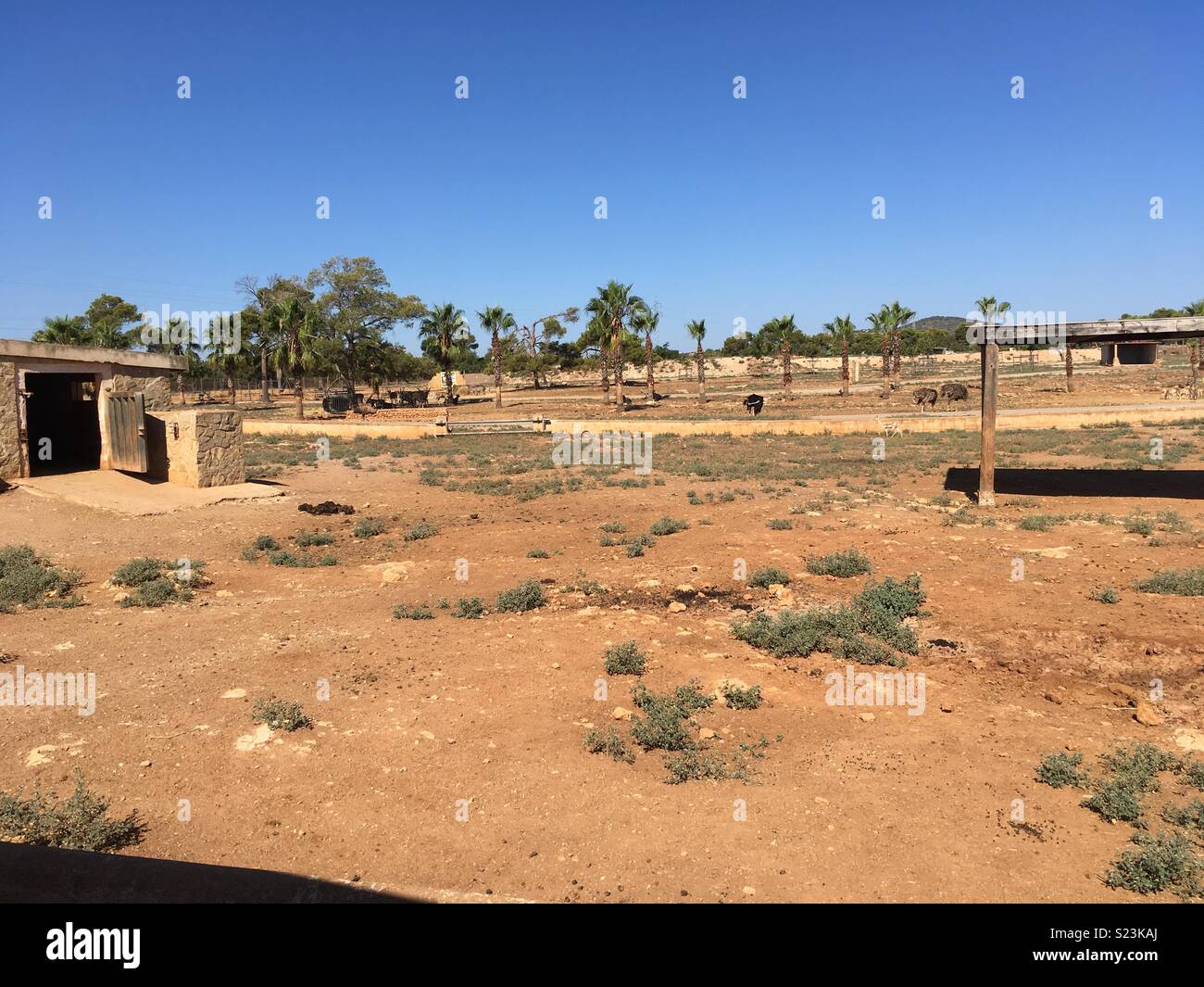 Scorching sun hi-res stock photography and images - Alamy