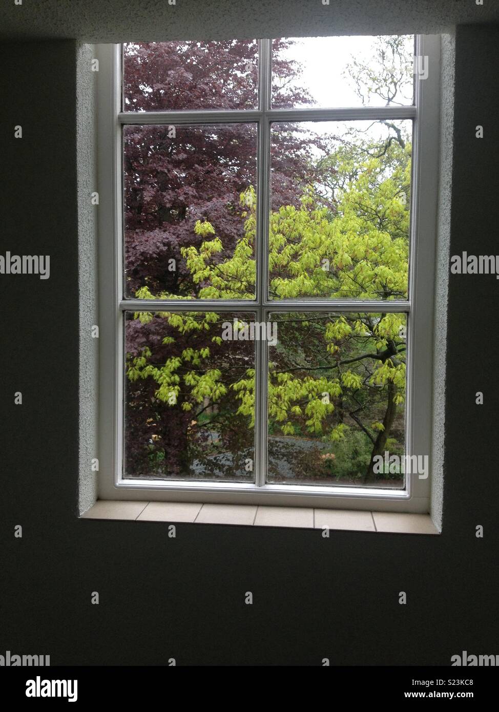 Spring frame hi-res stock photography and images - Alamy