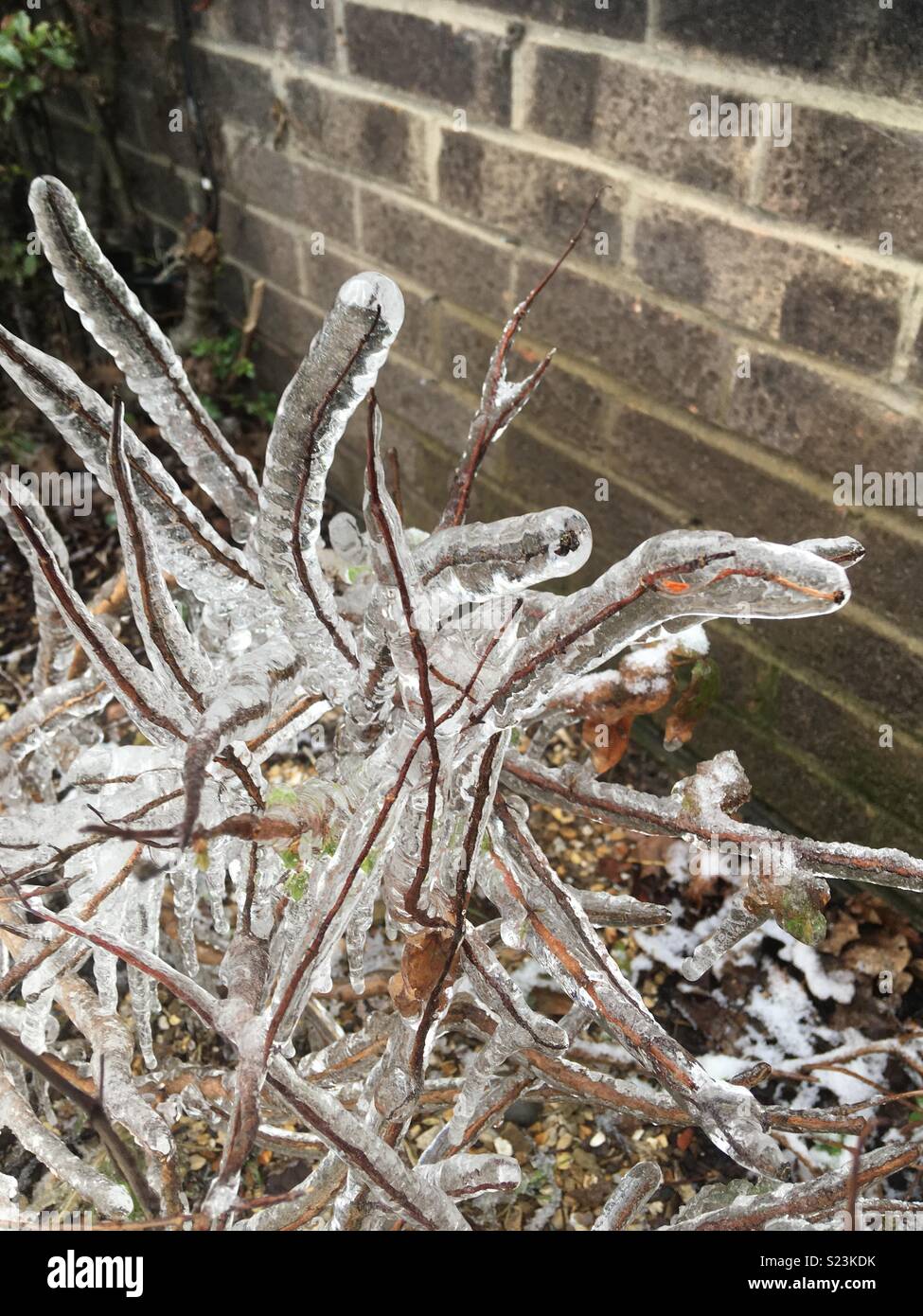 Frozen still hi-res stock photography and images - Alamy