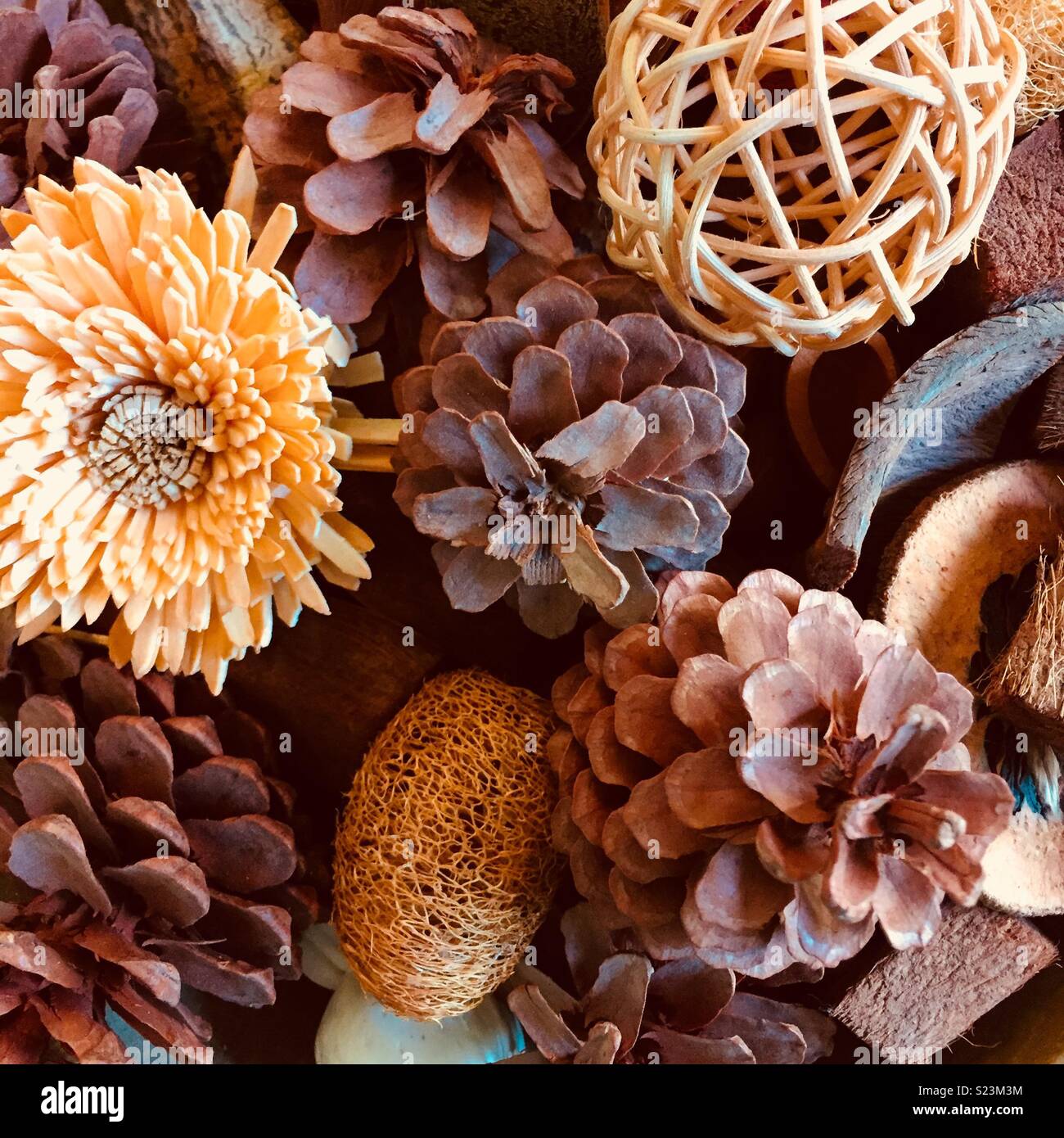 Pot Pourri Stock Photos & Pot Pourri Stock Images - Alamy
