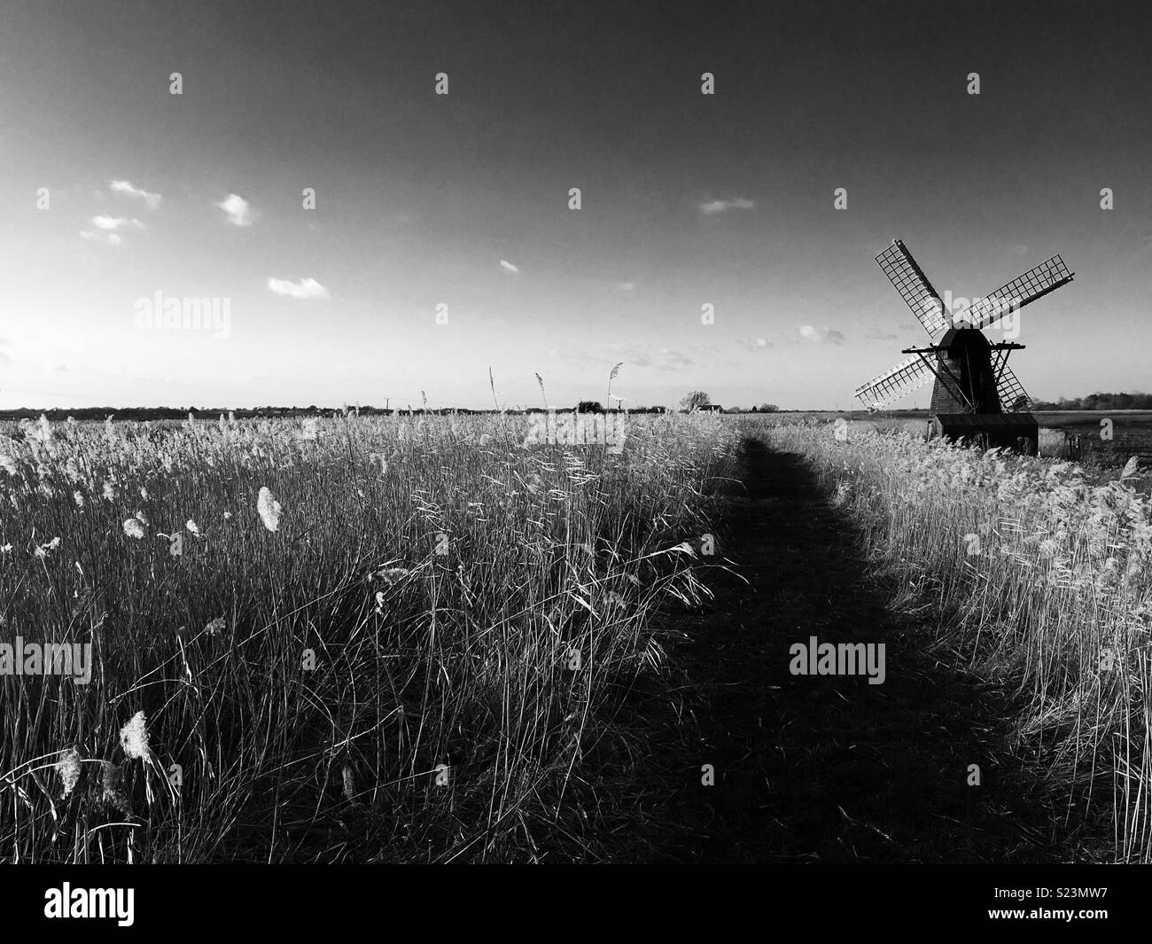 Windmill and wheat Stock Photo - Alamy