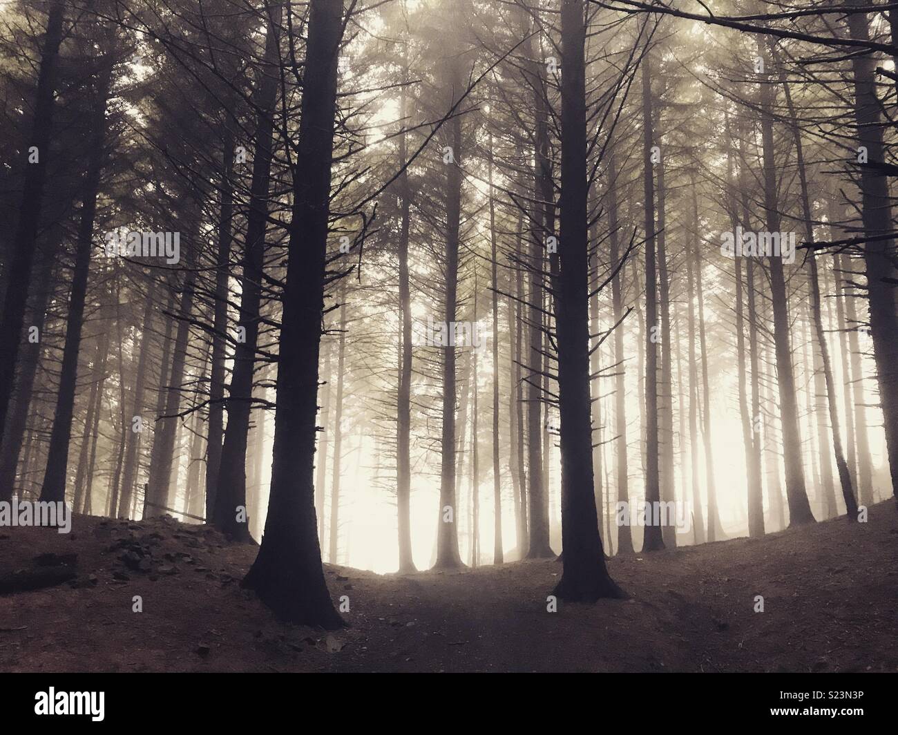 Macclesfield forest hi-res stock photography and images - Alamy