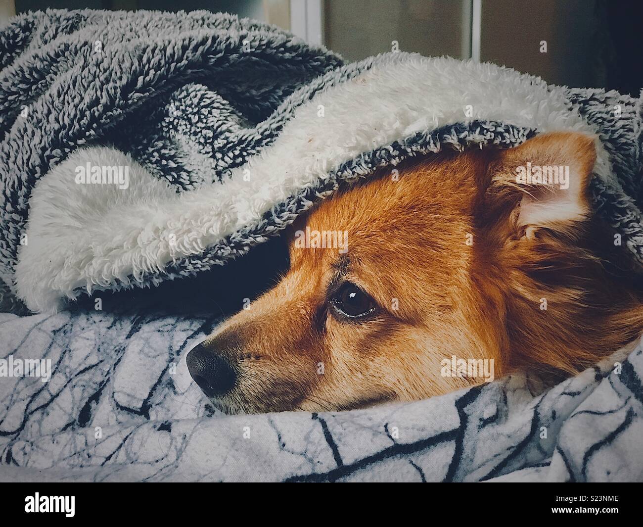 Im awake hi-res stock photography and images - Alamy