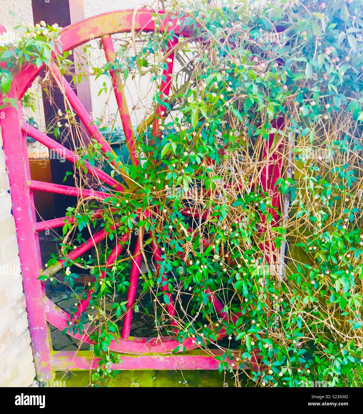 At the red gate hi-res stock photography and images - Alamy