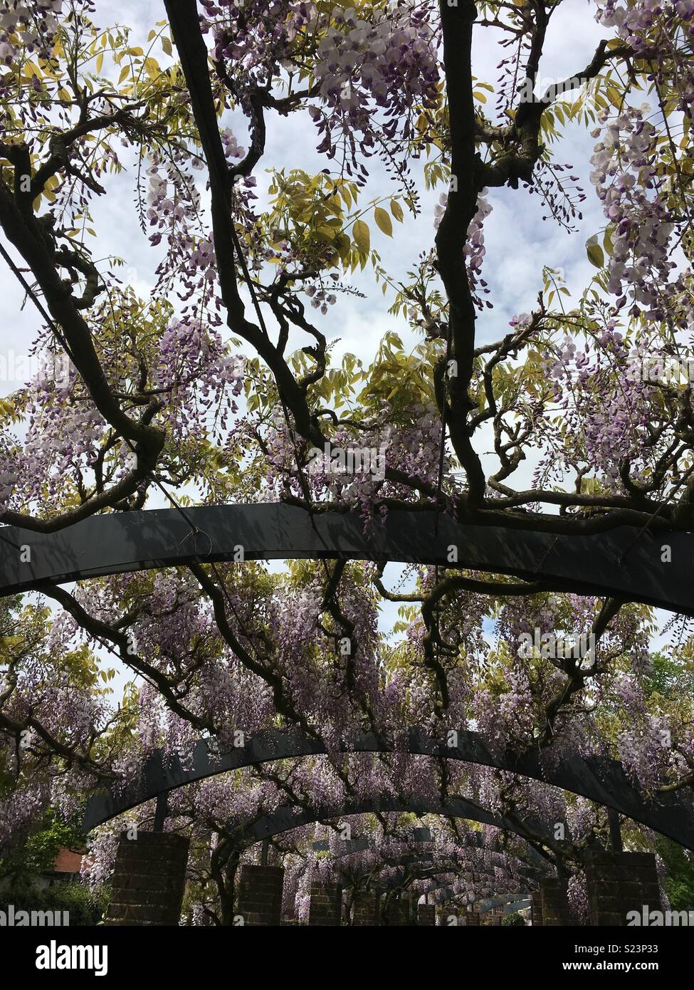 Arch roof hi-res stock photography and images - Alamy