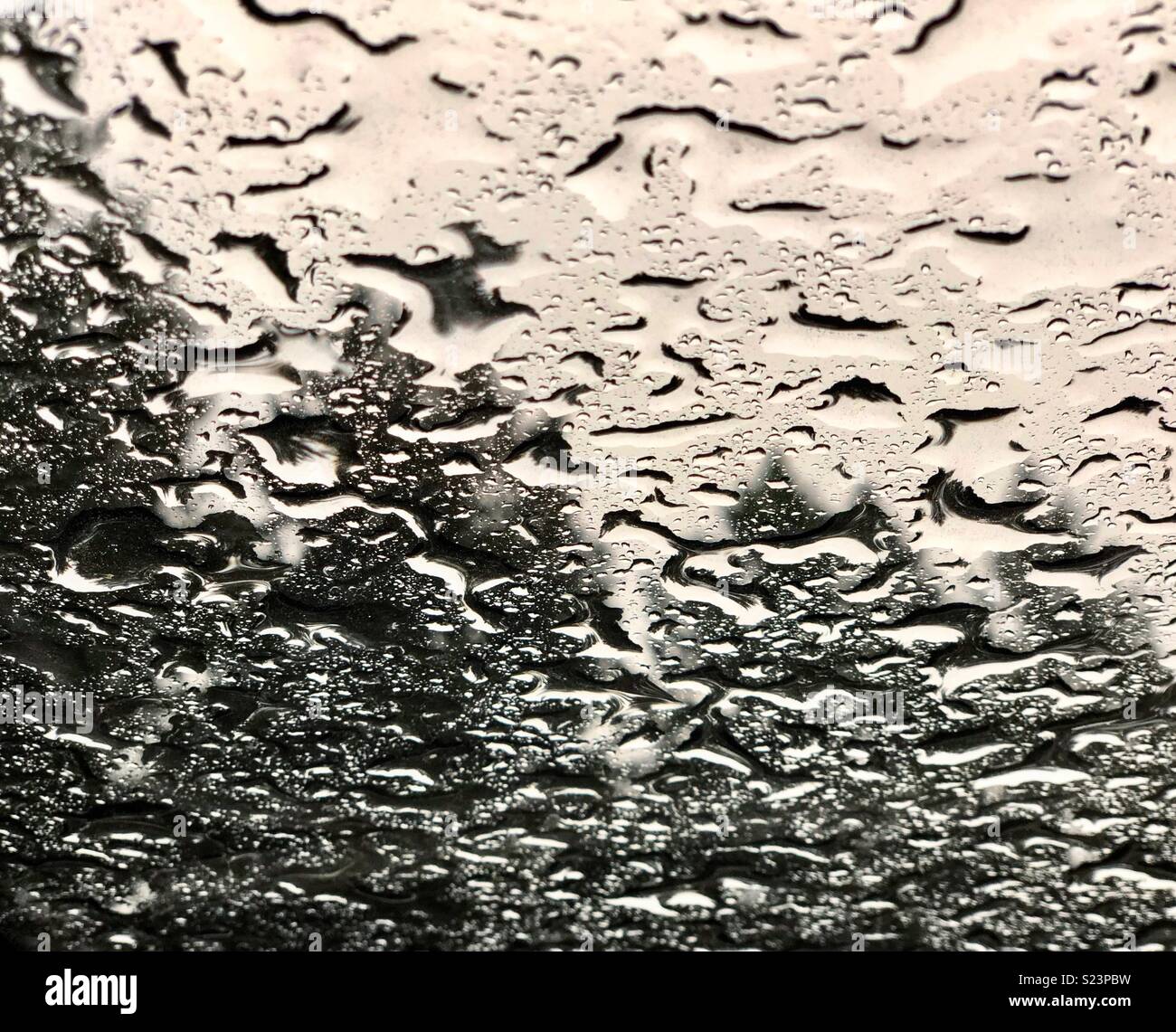 Trees rain through window hi-res stock photography and images - Alamy