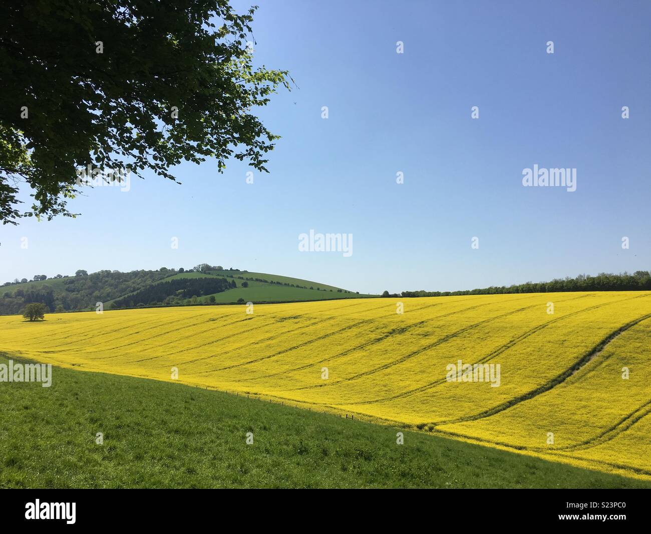Chalton Hampshire High Resolution Stock Photography and Images - Alamy