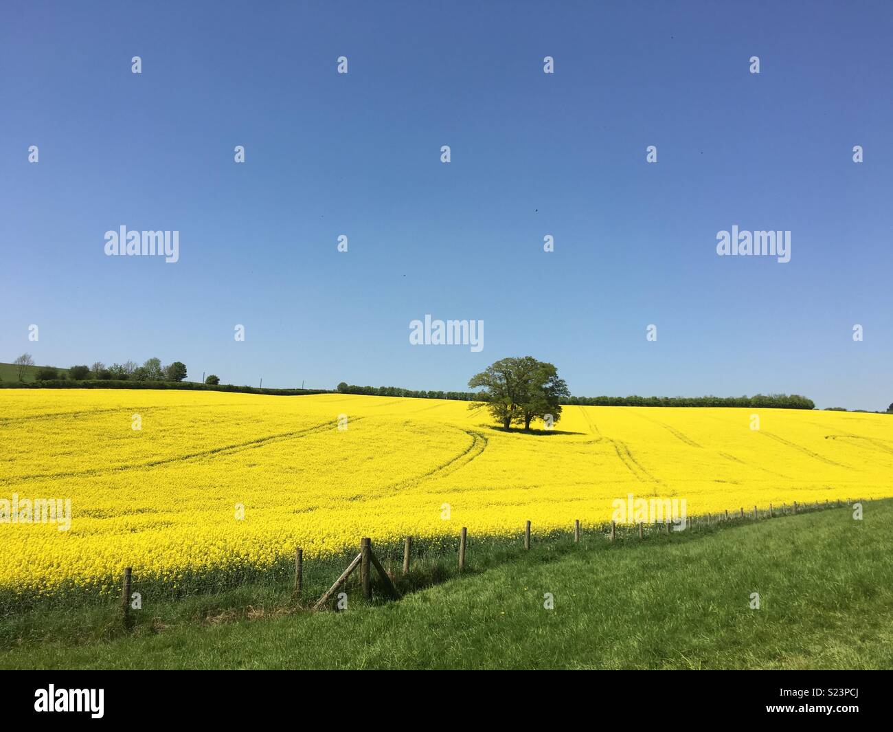Chalton hampshire hi-res stock photography and images - Alamy