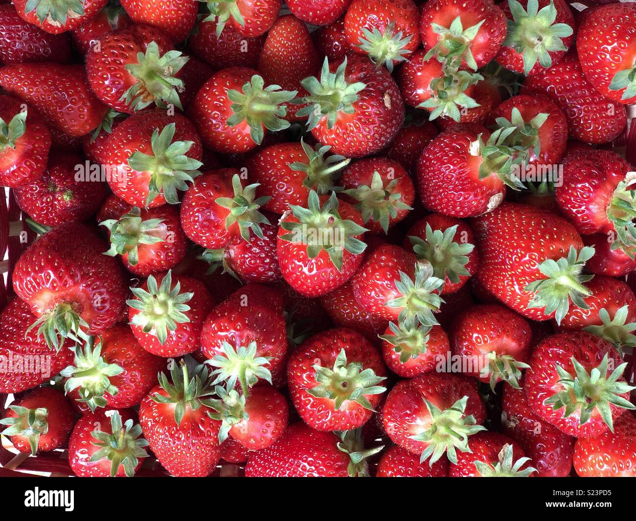 Strawberries in a box at the fruits market Stock Photo - Alamy