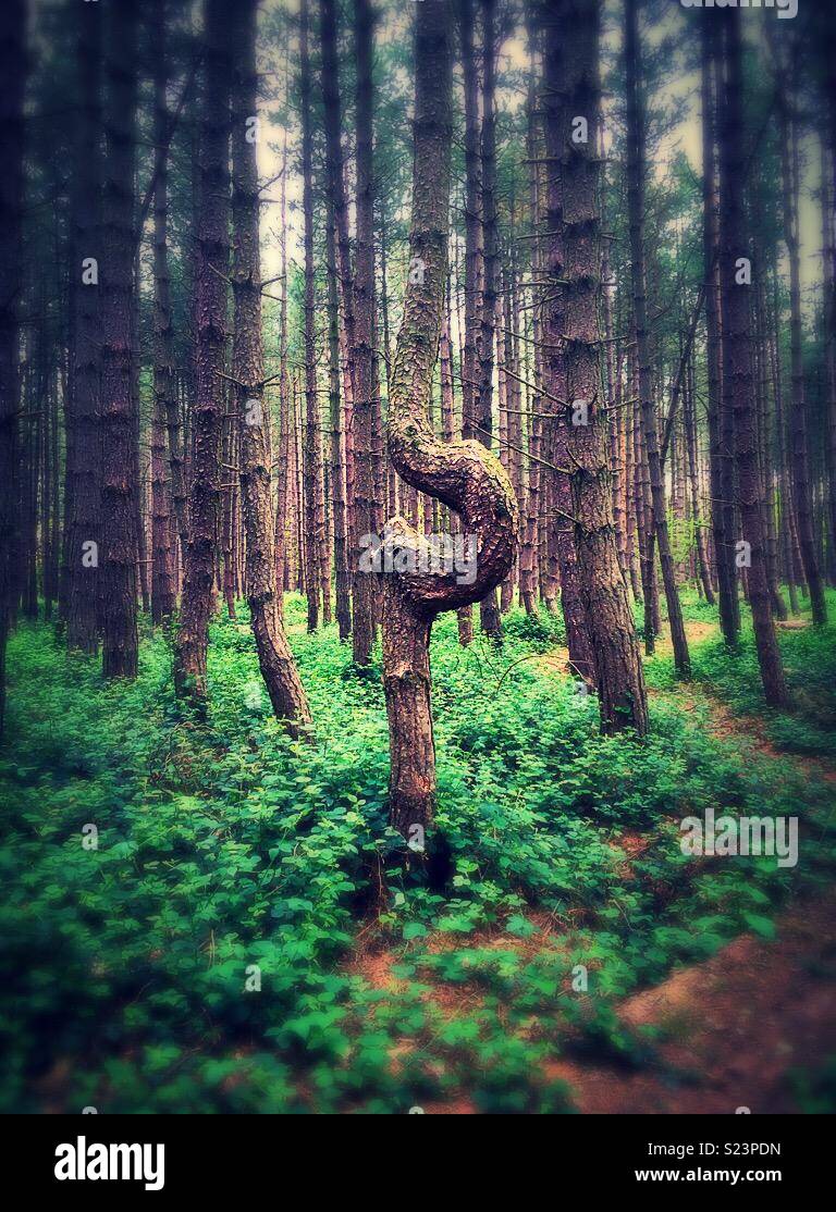 Odd shape hi-res stock photography and images - Alamy