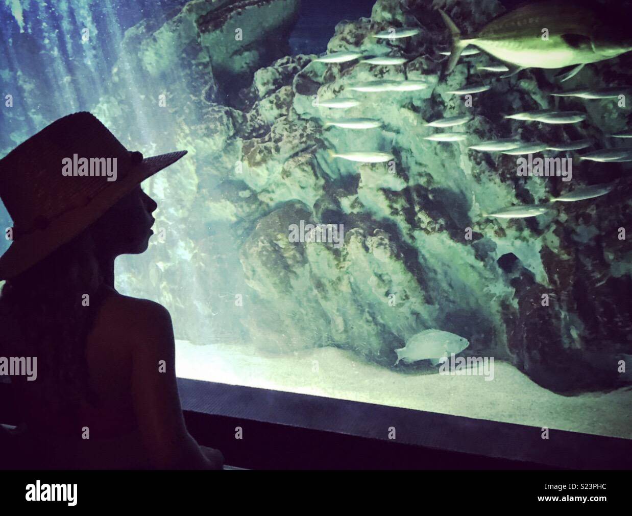 Silhouette of fish hi-res stock photography and images - Alamy