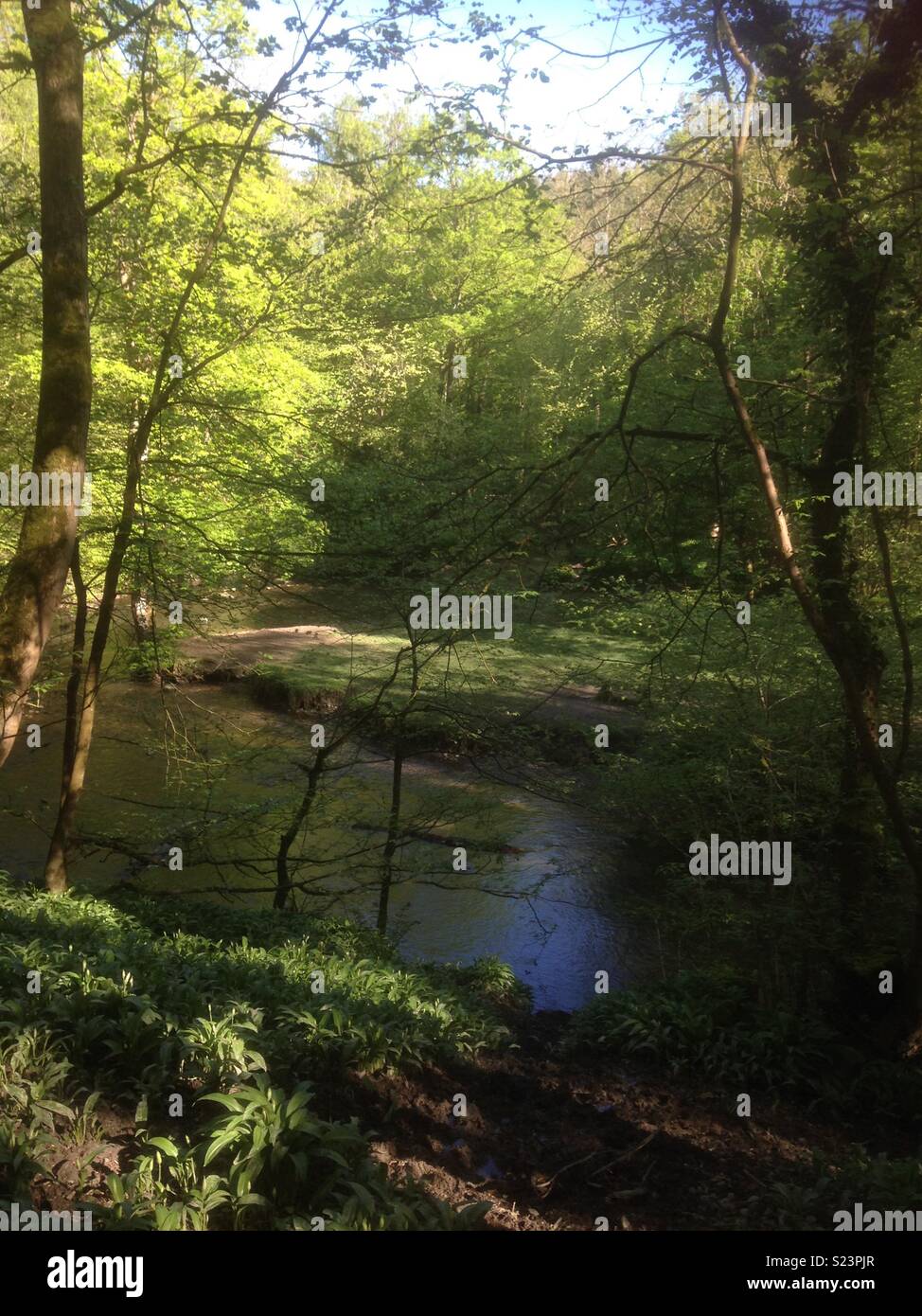 Loggerheads country park hi-res stock photography and images - Alamy