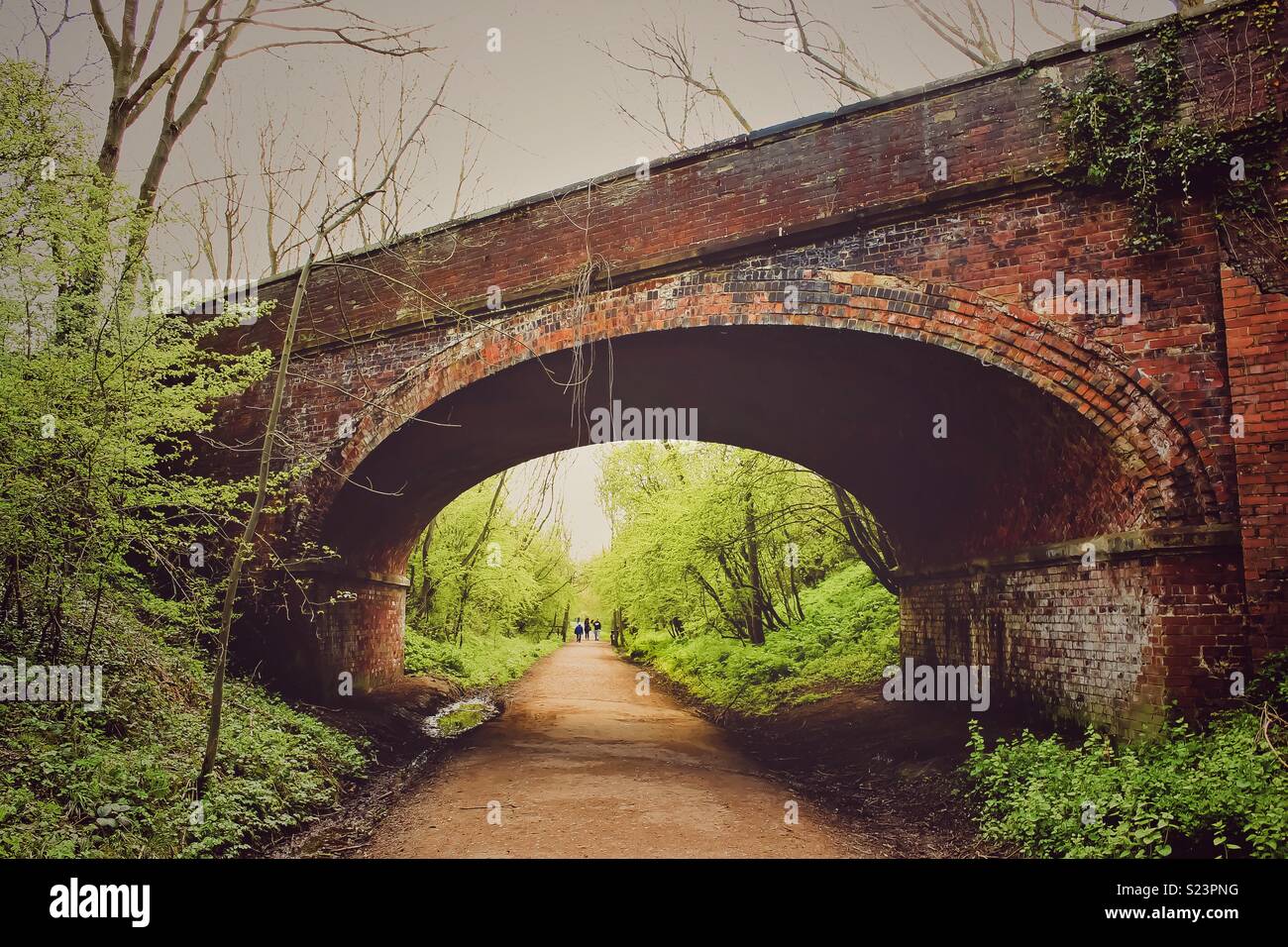 Wynyard hi-res stock photography and images - Alamy