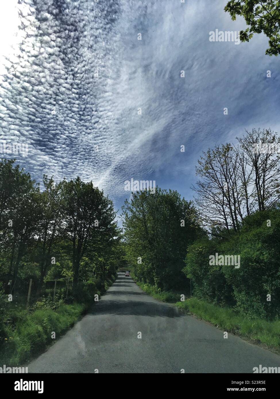 Hagg hi-res stock photography and images - Alamy