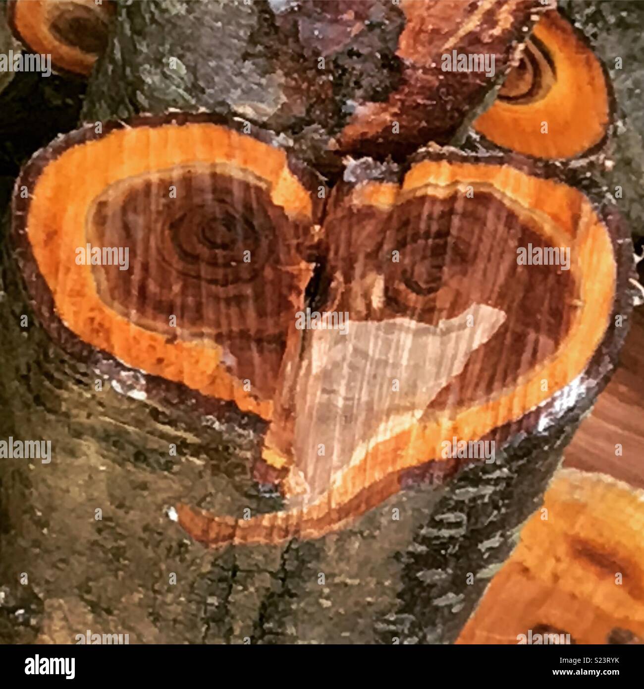 Log shapes hi-res stock photography and images - Alamy